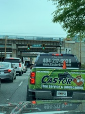 Castor Tree Service & Landscaping Reviews - Marietta, GA | HomeAdvisor