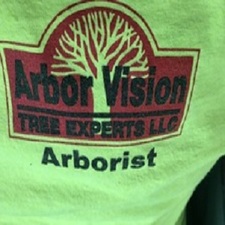 Arbor Vision Tree Experts Reviews - Round Rock, TX | Angi