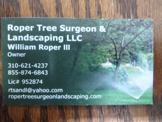 Roper Tree Surgeon and Landscaping Reviews - Compton, CA | Angi
