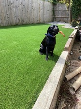 Turf Troopers Reviews - Land O' Lakes, FL | HomeAdvisor