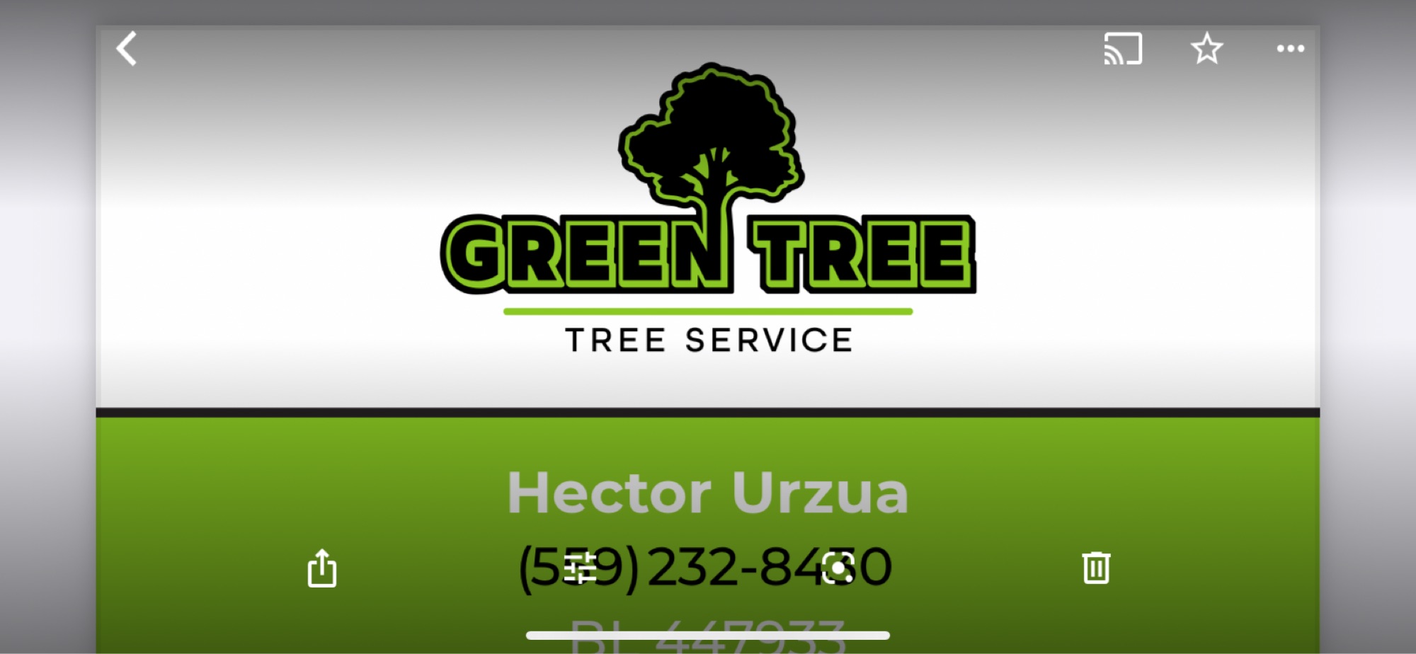 Green Tree Servicing Llc