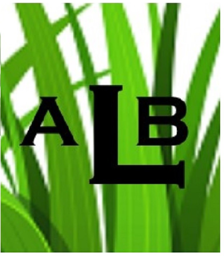 AB Lawn & Landscaping Reviews - New Port Richey, FL | Angi