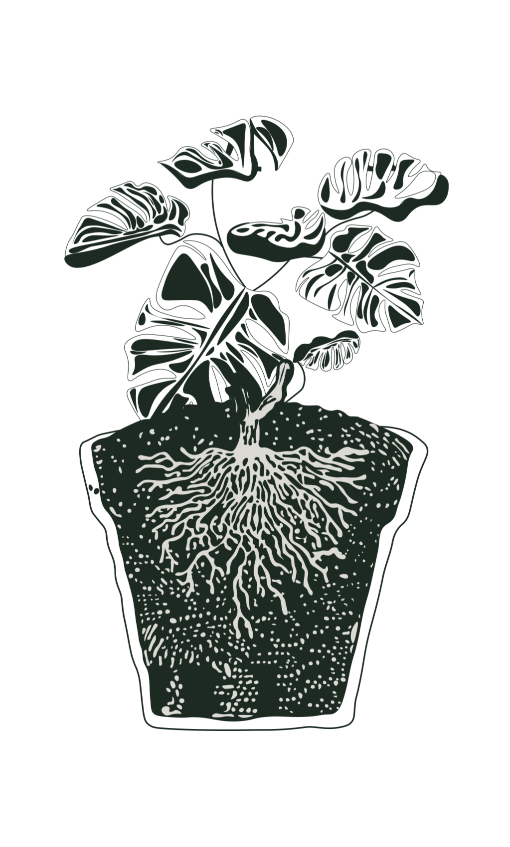 Visionary Landscapes Reviews - Palm Beach, FL | Angi