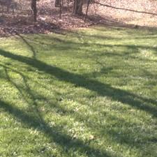 Denson Landscapes | Jasper, GA 30143 - HomeAdvisor