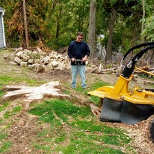 John Odom Stump Removal Reviews - Port Charlotte, FL | Angi