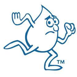 Everdry Waterproofing of Upstate New York Reviews - Rochester, NY | Angi