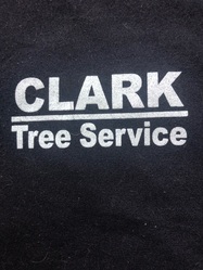 Clark Tree Service Reviews - Kansas City, MO | HomeAdvisor