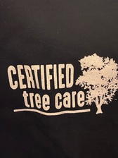 Certified Tree Care Reviews - Springfield, OH | Angi