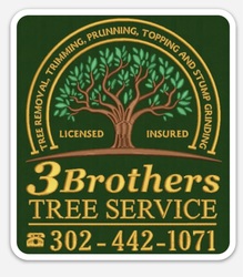 3 Brothers Tree Service & Landscape Reviews - New Castle, DE | Angi